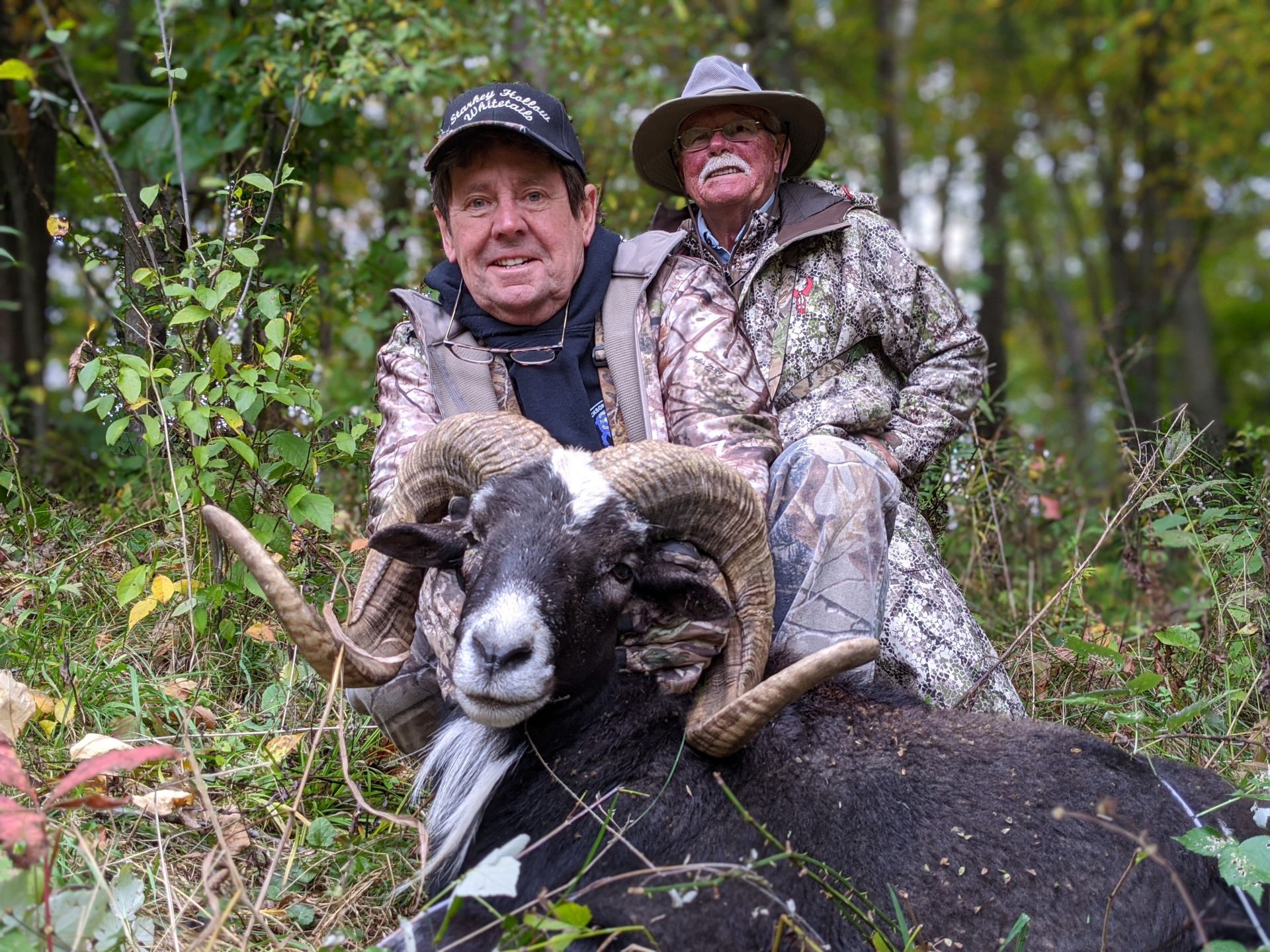 Our Hunts – Ohio Exotic Hunting